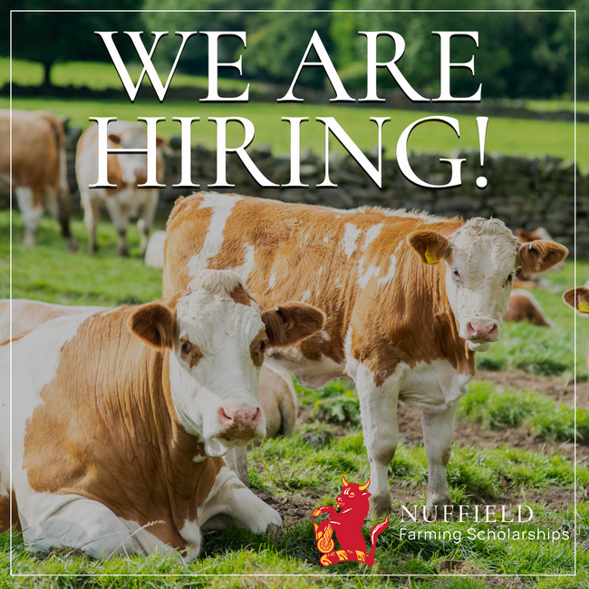 NEWSLETTER: We are Hiring! | Nuffield Farming Scholarships